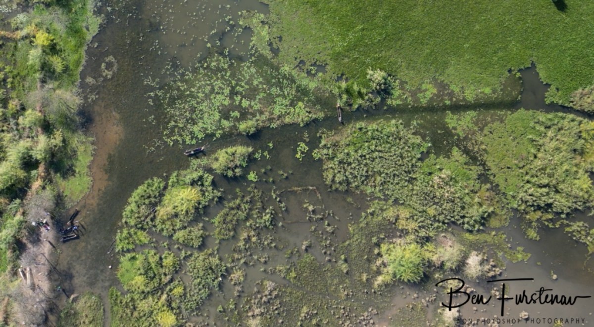 Kuifie in Africa; The Marsh without Elephants, Elephant Marsh Reserve ...